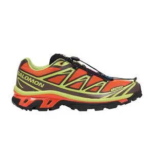Salomon Mold