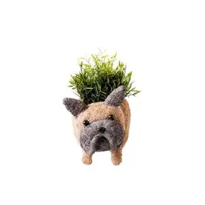 Likhâ French Bulldog Planter Coco Coir Pots - Brown