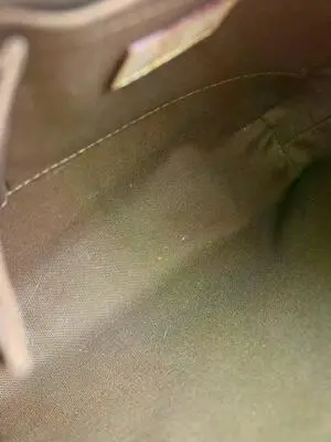 LOUIS VUITTON Monogram Odeon Pm Bag