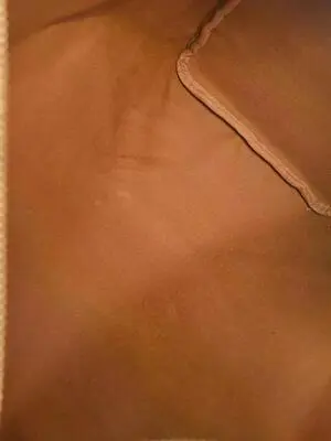 LOUIS VUITTON Speedy Monogram Travel Bag
