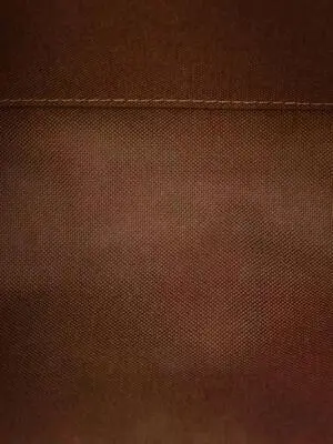 LOUIS VUITTON Monogram Pochette Accessoires Shoulder Bag