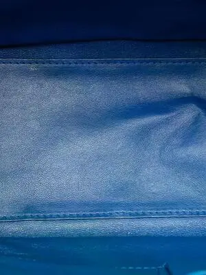 Celine Micro Luggage Tote Bag