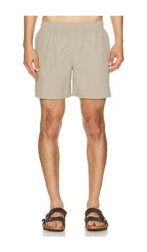 AUTO-REPLY Sebastian Swim Trunk Grey