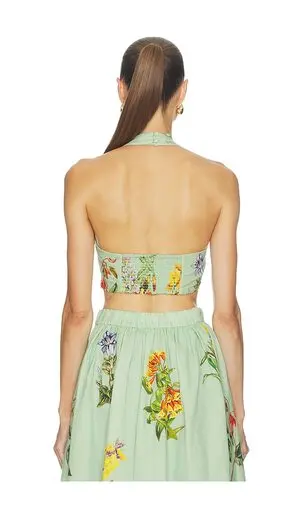 Hemant & Nandita Cropped Halter Top - Mint