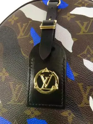 LOUIS VUITTON Monogram Souple Bag - Brown