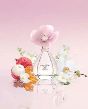 Vince Camuto Wonderbloom Bliss 3-piece Set