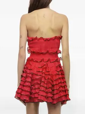 Alexander McQueen Ruffled Skater Dress