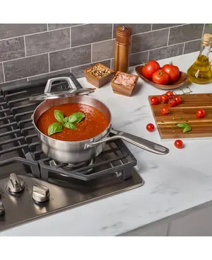 ZWILLING Motion Stainless Steel Saucepan, 2.5 Qt