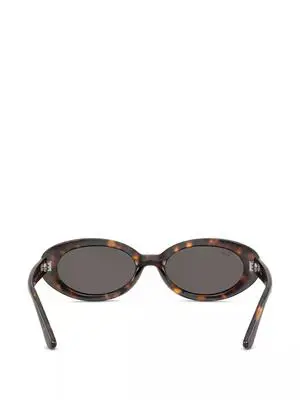 Ray-ban Oval Frame Sunglasses