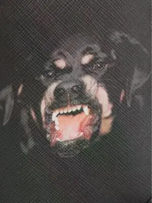 Givenchy Rottweiler Iphone Case - Black