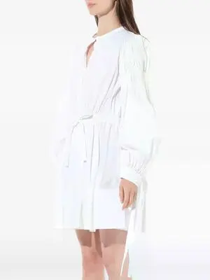 Alexander McQueen Gathered Sleeve Dress