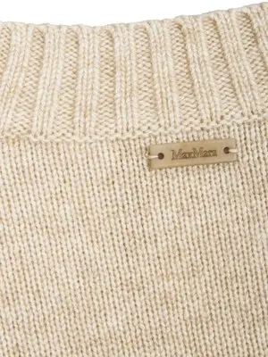 Max Mara Crew Neck Sweater In Cashmere Wool
