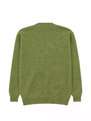 FORTELA Shetland Crewneck Wool-knit Sweater - Green