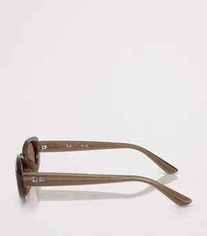 Ray-ban Injected Oval Sunglasses