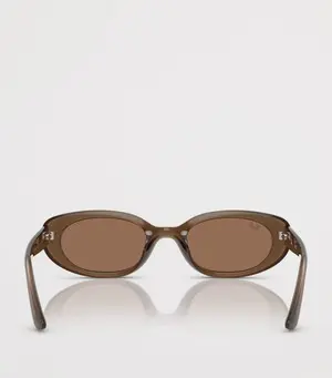 Ray-ban Injected Oval Sunglasses