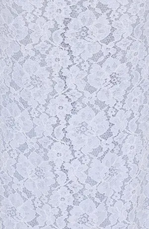 PETAL & PUP Jennings Lace Maxi Skirt