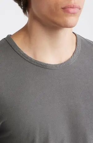 ALEX CRANE Organic Cotton Crewneck T-shirt - Slate