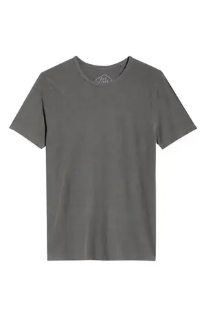 ALEX CRANE Organic Cotton Crewneck T-shirt - Slate