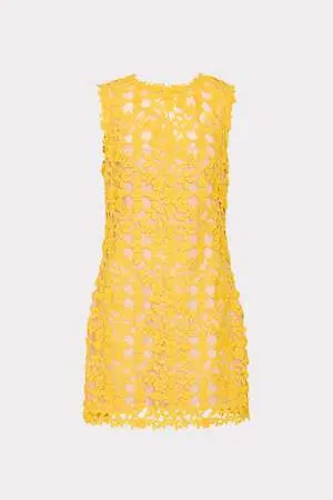 Milly Lace Dresses