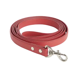 ROYCE NEW YORK 6 Foot Leather Dog Leash With Personalization Option - Red