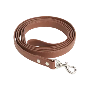 ROYCE NEW YORK 6 Foot Leather Dog Leash With Personalization Option - Tan