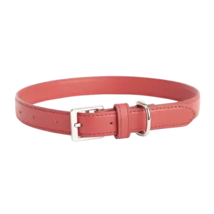 ROYCE NEW YORK Medium Leather Dog Collar - Red