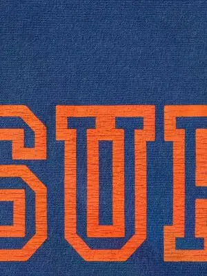 Supreme Collegiate Sleeve Hoodie