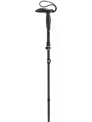 LEKI Telescopic Trekking Pole