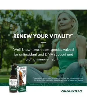 Host Defense Chaga Extract Immune System Support Supplement Chaga Mushroom For Antioxidant Activity Support