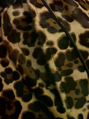 NAHMIAS Leopard-print Drawstring Shorts