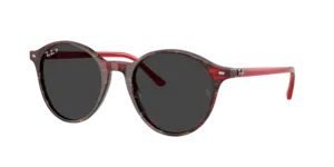 Ray-ban Tortoiseshell Round Frame Sunglasses - Polarized Black