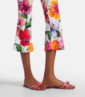 Dolce & Gabbana Floral Print Capri Pants