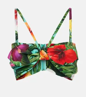 Dolce & Gabbana Bow-detail Floral Cotton Bra Top - Multicoloured