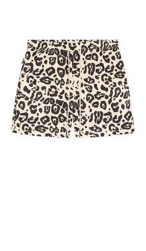 Oas Swim Shorts With Leopard Print