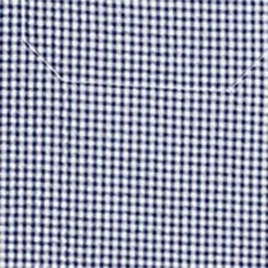 Dunhill Cotton Gingham Shirt