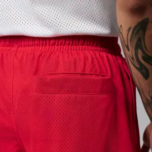 JORDAN Brooklyn Mesh Shorts