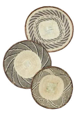 Botanical Boys Neutrals / Tonga Basket Collection Ninety Four - Brown