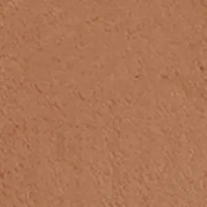 WESTMAN ATELIER Vital Pressed Skincare Powder