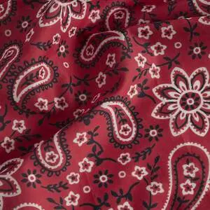 DRAKE'S Classic Paisley Bandana
