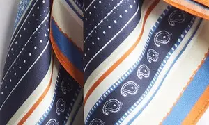 TOTEME Collector Silk Scarf - Ecru/navy