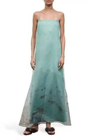 Staud Delfina Print Organza Maxi Dress