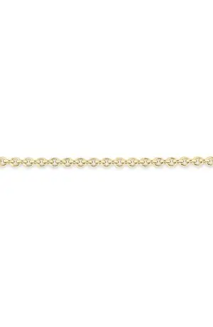 Bony Levy 14k Gold Cable Chain Necklace