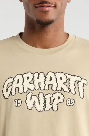 Carhartt Work In Progress Cloud Script Cotton Graphic T-shirt