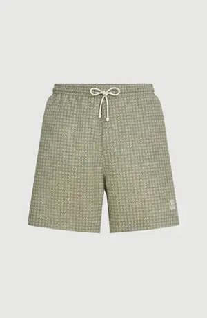 Brunello Cucinelli Printed Swim Trunks With Drawstring Waist - Sage