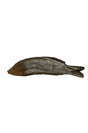 Botanical Boys Driftwood Hand Carved Fish One One Six Two - Brown