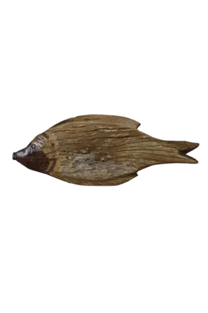 Botanical Boys Driftwood Hand Carved Fish One One Six One - Brown
