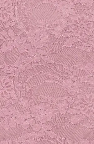 PETAL & PUP Off-the-shoulder Lace Maxi Dress