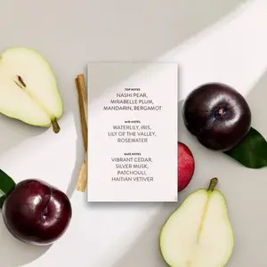 MICHAEL MALUL Ktoret Aura Eau De Parfum - 10ml