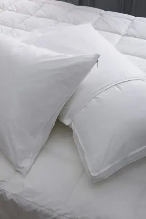 Quince Pillow Protectors