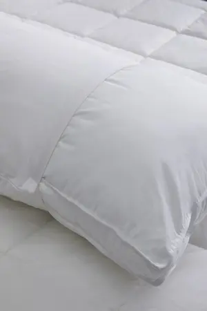 Quince Pillow Protectors